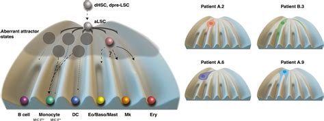 Clonally Resolved Single Cell Multi Omics Identifies Routes Of Cellular Differentiation In Acute