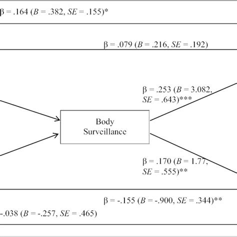 Empirical Model Of Relations Derived From Objectification Theory With