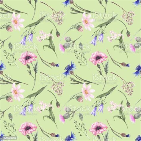 아름다운 야생화의 이미지와 원활한 패턴 양귀비 카모마일 옥수수 꽃 엉겅퀴 종 밝은 녹색 배경에 0명에 대한 스톡 벡터 아트 및 기타 이미지 Istock