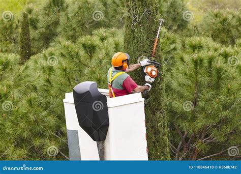 Equiped Worker Pruning A Tree On A Crane Gardening Editorial Image Image Of Nature Activity