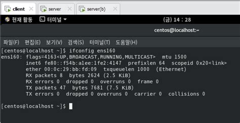 Dhcp 서버