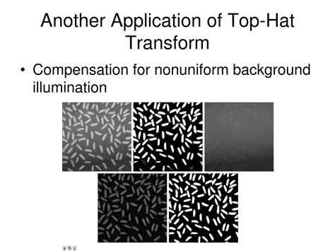 Ppt Gray Scale Morphological Filtering Powerpoint Presentation Free Download Id840137