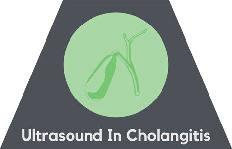 Better Than A Shotgun Approach To Diagnosis Ultrasound In Cholangitis