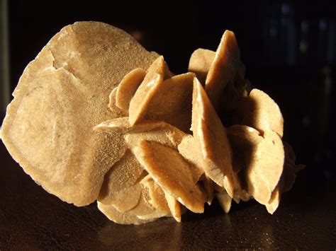 Woestijnroos Minerals Stuffed Mushrooms Stones Bread Vegetables