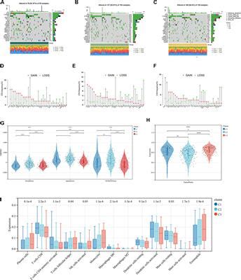 Frontiers Integrated Analysis Of Single Cell And Bulk RNA Sequencing