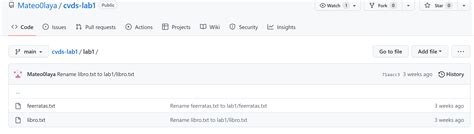 github mateo0laya cvds lab1