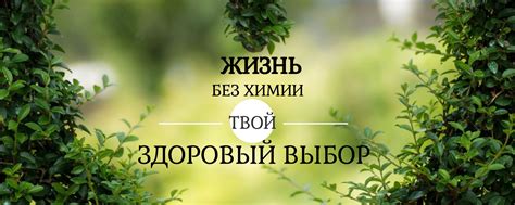 Гринвей - жизнь без химии | Большую часть своей жизни я жила в селе ...