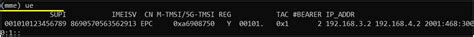 Lte Simserver