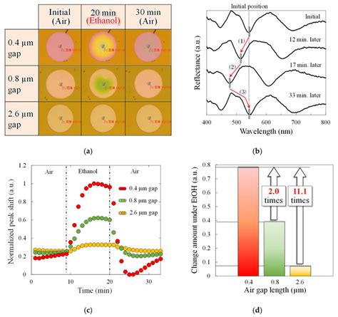 Comparison Of Interferometers With Different Air Gaps Under Etoh Download Scientific Diagram
