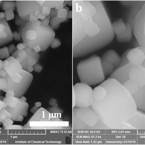 Feg Sem Images Of Cu O Nanoparticles With Copper Sulphate As A Precursor Download