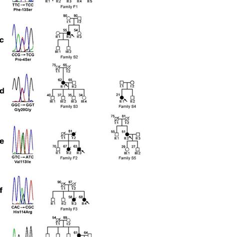 Partial Automated Dna Sequence Analysis And Selected Pedigrees Of Download Scientific Diagram