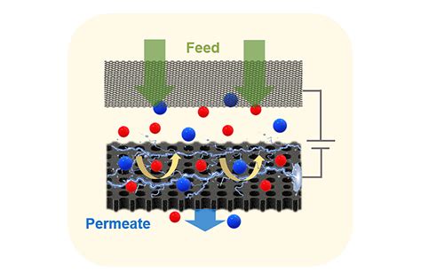 Research Nyu Abu Dhabi