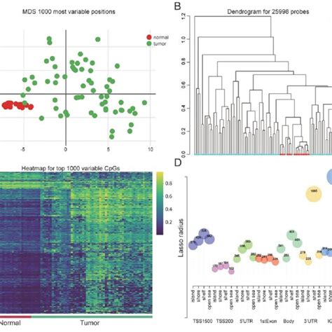 Genome Wide Methylation Data For Endometrial Carcinoma A