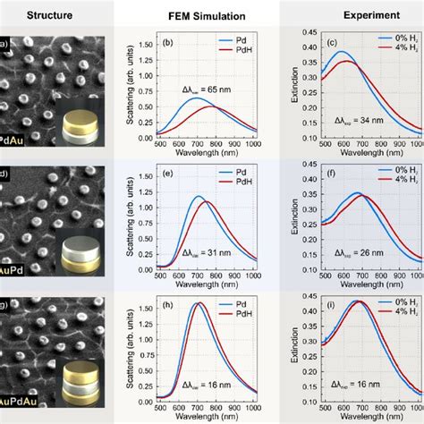 Schematic View Of The Different Palladium Gold Nanodisk Systems Under Download Scientific