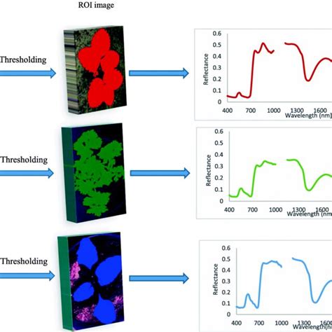 General Scheme Of The Procedure To Generate Spectral Characteristics
