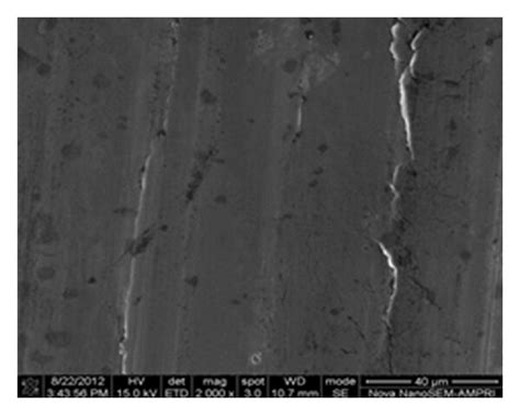 Worn Surface Depicting Features Commensurate With Observed Wear Loss