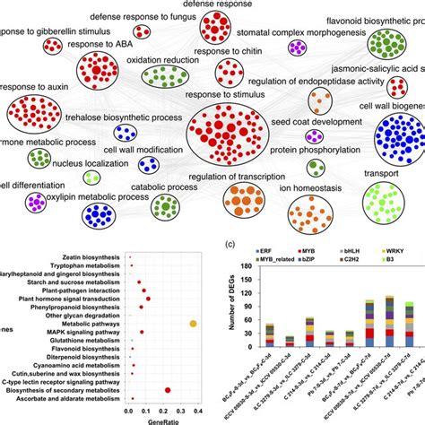 Annotation And Pathway Analysis Of Identified Differentially Expressed