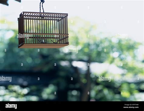 The Bug Jar Hi Res Stock Photography And Images Alamy