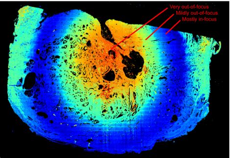 Generating Diverse Synthetic Medical Image Data For Training Machine Learning Mo