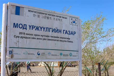 Өмнөговь аймаг нэг сая мод тарьж ургуулаад байна