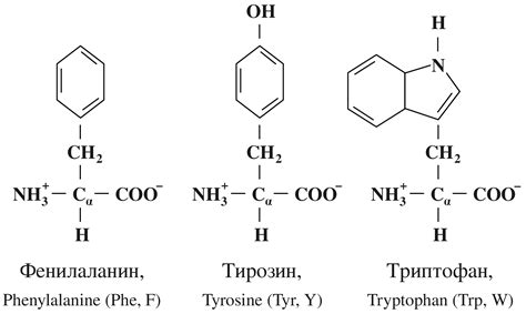 Aminoacids — Md Simulations Documentation