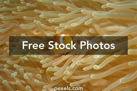 Class Indonesia Photos Download The Best Free Class Indonesia Stock