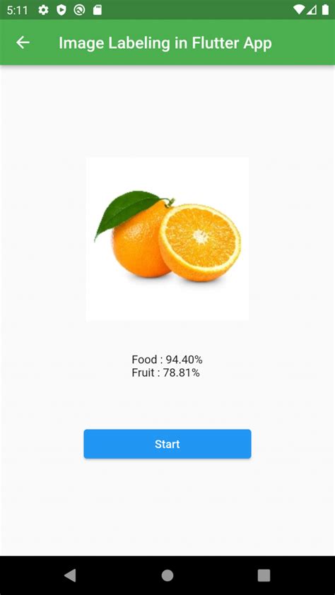 How To Use Machine Learning In Flutter Apps Mobikul