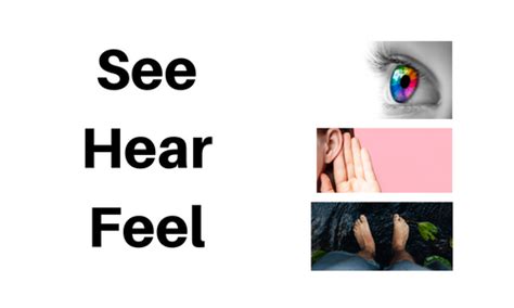 Shinzen Youngs See Hear Feel Noting Technique Explained