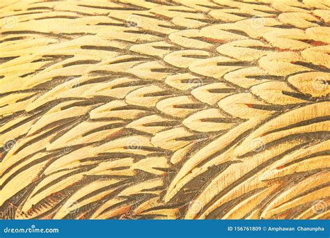 Gold Bird Feather Patterns Abstract Background Stock Image Image Of Hard Material 156761809 Gold Bird Feather Patterns Abstract Background Stock Image Image Of Hard Material 156761809
