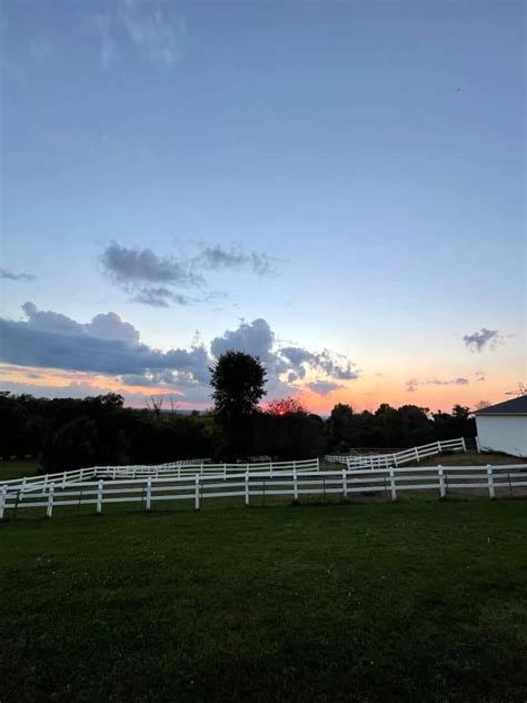 Queen If Your Honey Has Crystallized Heres What It Really Means If