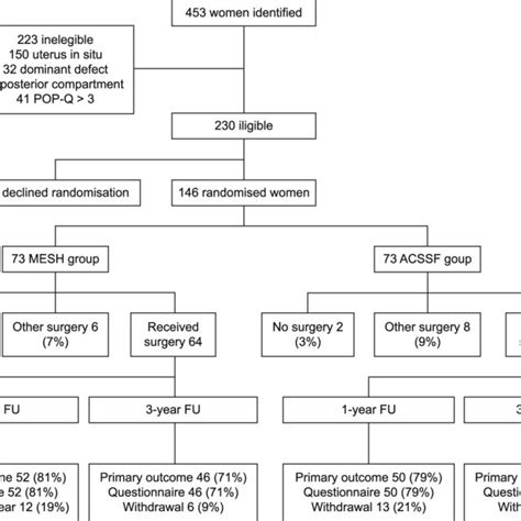 Intraoperative View Of A Slightly Folded Preperitoneal Mesh In The Download Scientific Diagram