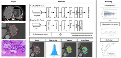 A Ct Based Deep Learning Radiomics Nomogram For Predicting The Response To Neoadjuvant