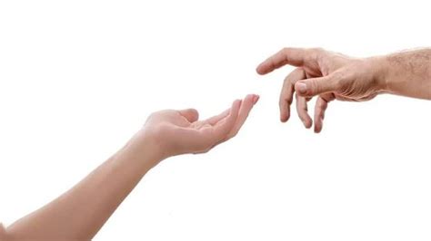 No Love No Sexual Relation Friendship Marriage New Trend വിവാഹമാണ് പക്ഷേ പ്രണയമോ ലൈംഗിക