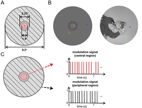 Figure 1 From Visual Target Detection In A Distracting Background