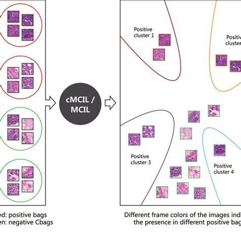pdf weakly supervised histopathology cancer image segmentation and