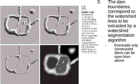 segmentation by morphological watersheds