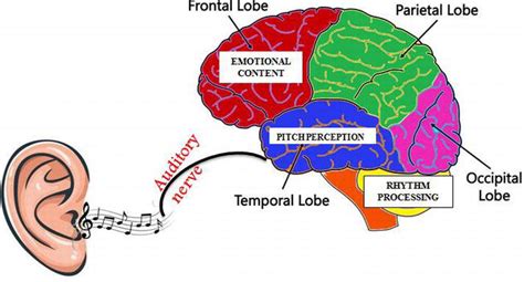 Music And Music Therapy Is A Medicine For Stress Intechopen