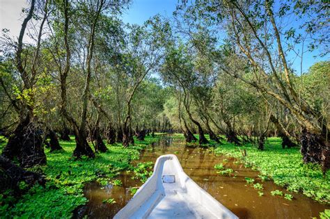 Tour An Giang 2 Ngày 1 đêm Châu Đốc Rừng Tràm Trà Sư Từ Tp Hcm