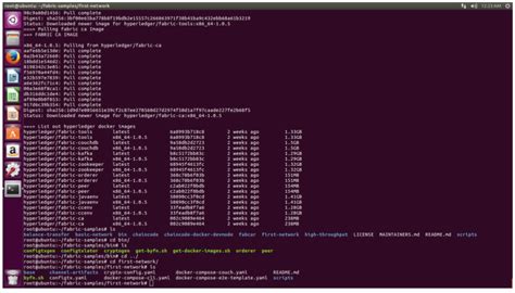 手把手教你走进Hyperledger Fabric 学习软件编程