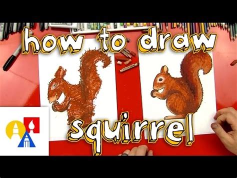 How To Draw A Red Squirrel Coquetdale Squirrel Group
