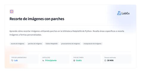 recorte de imágenes con parches tutorial de python matplotlib labex