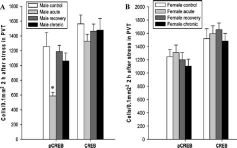 Number Of Cells Expressing Pcreb And Creb In Pvt A Number Of Download Scientific Diagram