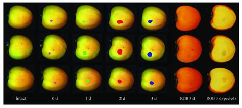 Examples Of The Segmentation And Discrimination Of The Damage Over Time Download Scientific