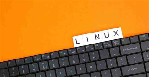 Eight Convincing Rationales For Deploying Linux In Your Business Biz