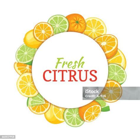 컬러 프레임 라운드 맛 있는 열 대 오렌지 라임 레몬 과일의 구성 벡터 카드 그림입니다 동그라미 감귤 오렌지 라임 레몬 프레임입니다 잘 익은 신선한 과일 디자인 주스에 대