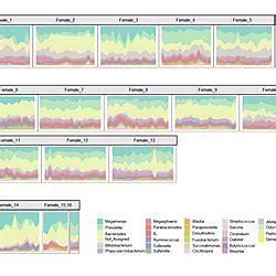 Stacked Area Plots By Each Individual Based On Genus Level