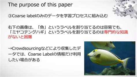 Cnn Rnn A Large Scale Hierarchical Image Classification Framework Ppt
