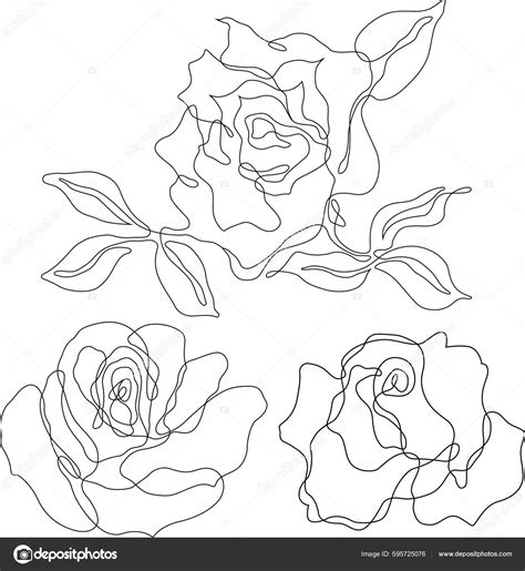 Rose Flower Vector Outline