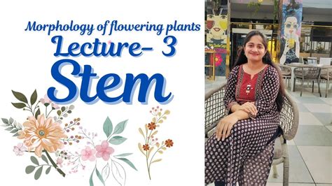 Modifications In Stem Part 2 Class 11th Ncert Morphology Of