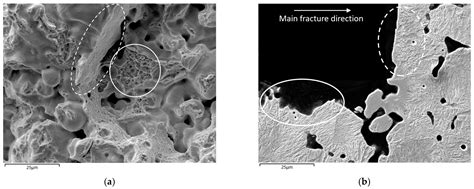 Microstructural Investigation And Impact Strength Of Sinter Hardened Pm Steels Influence Of Ni